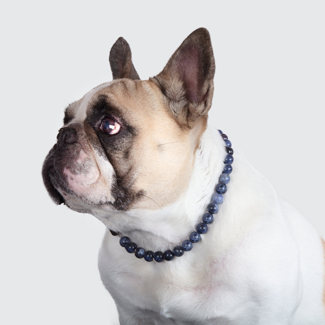 Lithotherapy Collar for Anxious Dog, Sodalite, Well-being Dogs, Gift ...