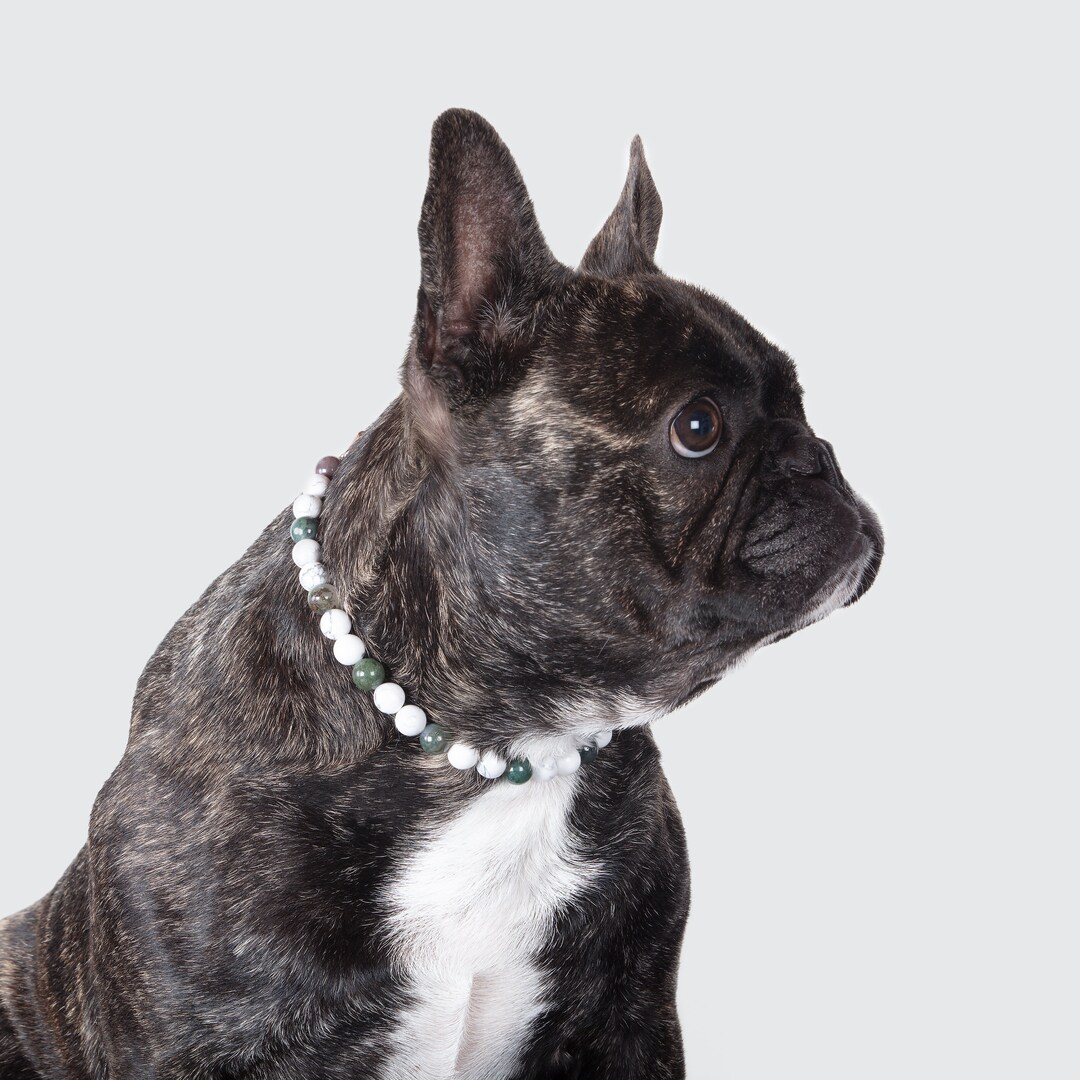 Lithotherapy Collar Dog, Fight Against Aggressiveness, Howlite and ...