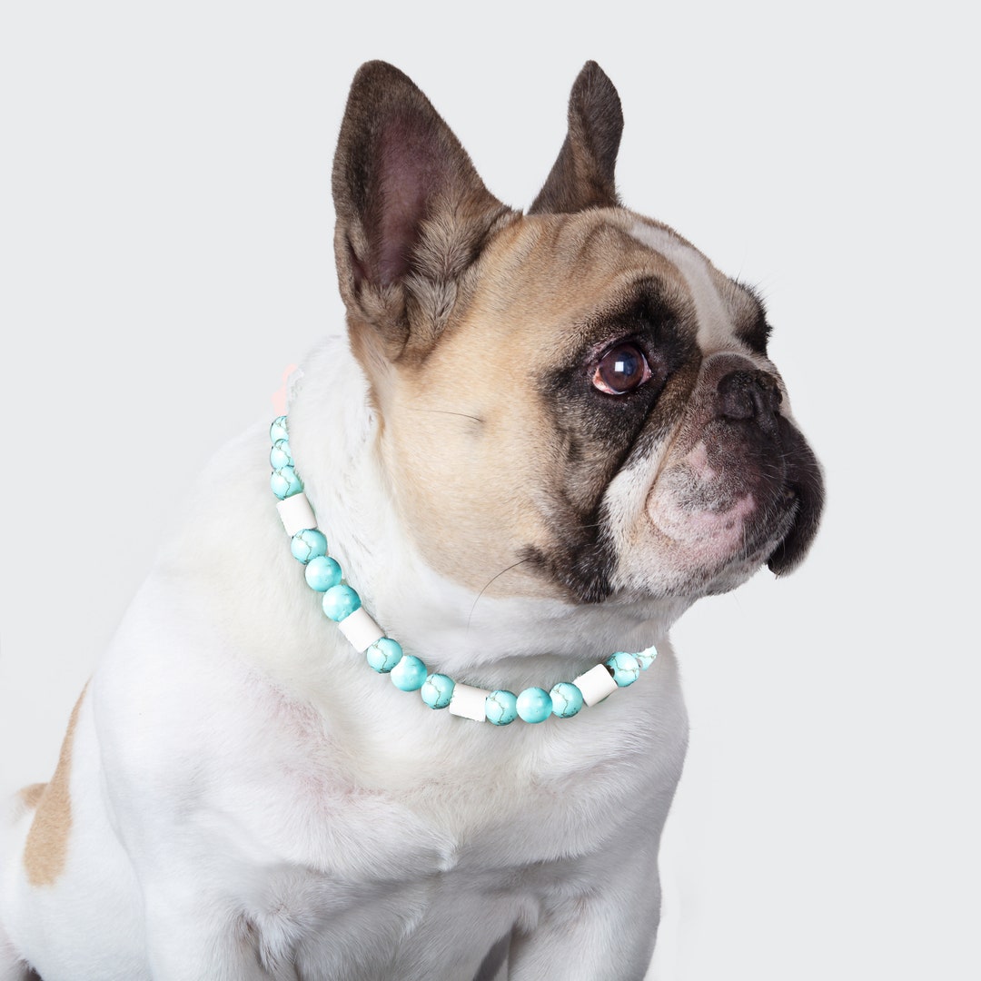 Collar Anti Tick and Fleas With Turquoise - Lithotherapy for Dogs - Etsy