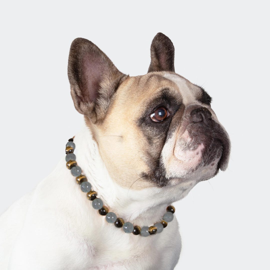 Lithotherapy Collar for Anxious or Fearful Dogs, Amethyst and Sodalite ...