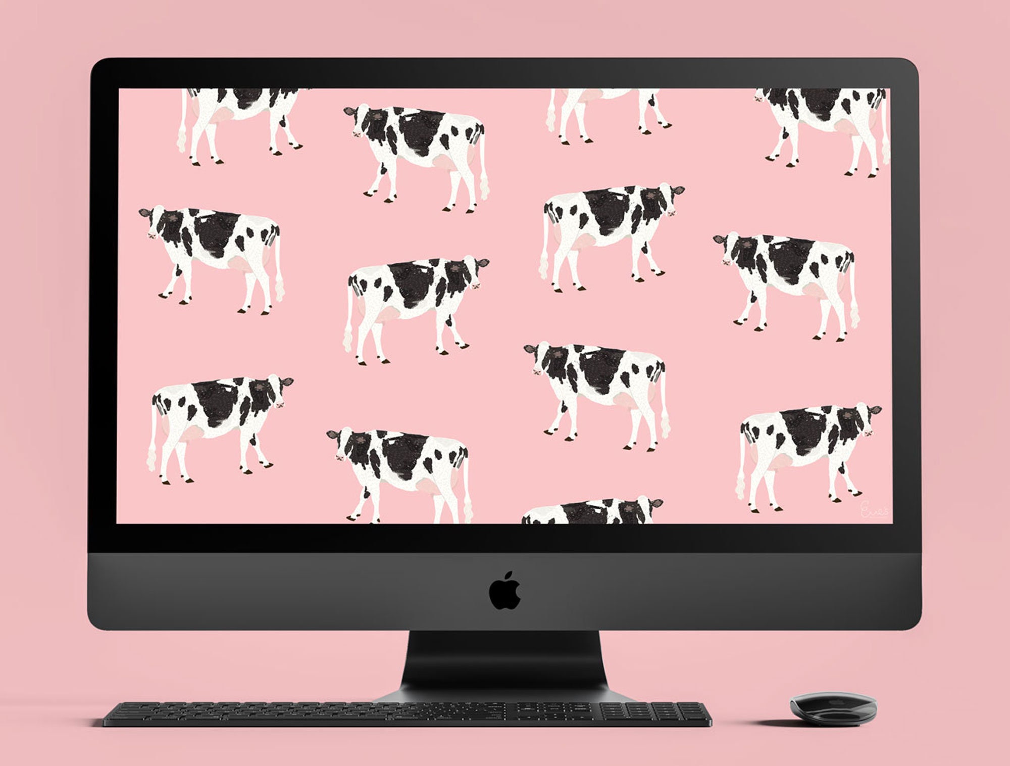 Cow Wallpapers For Desktop