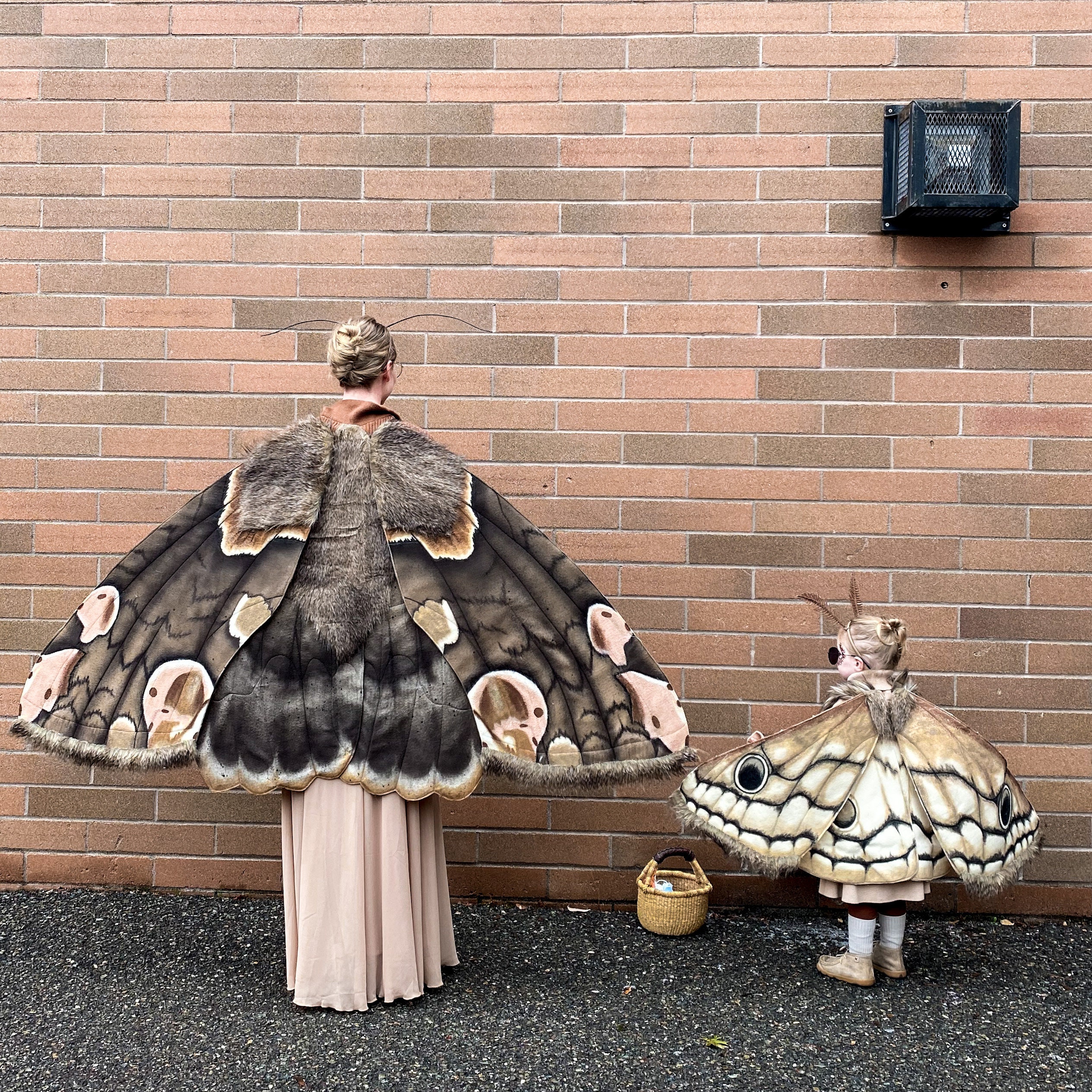 Hand Sewn and Painted Moth Halloween Costume - Etsy