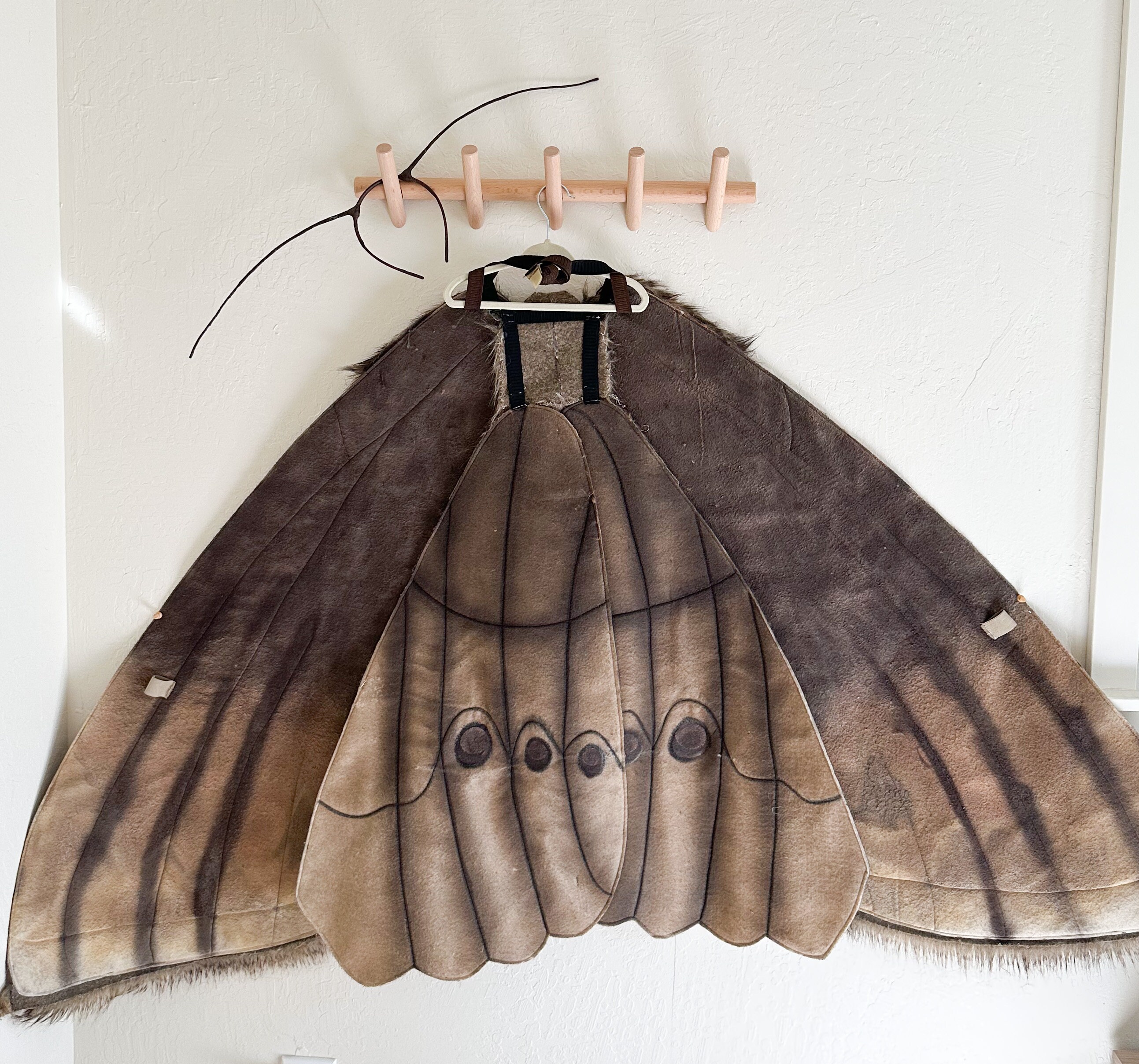 Hand Sewn and Painted Moth Halloween Costume - Etsy
