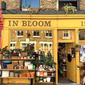 InBloomInHabit - Etsy UK