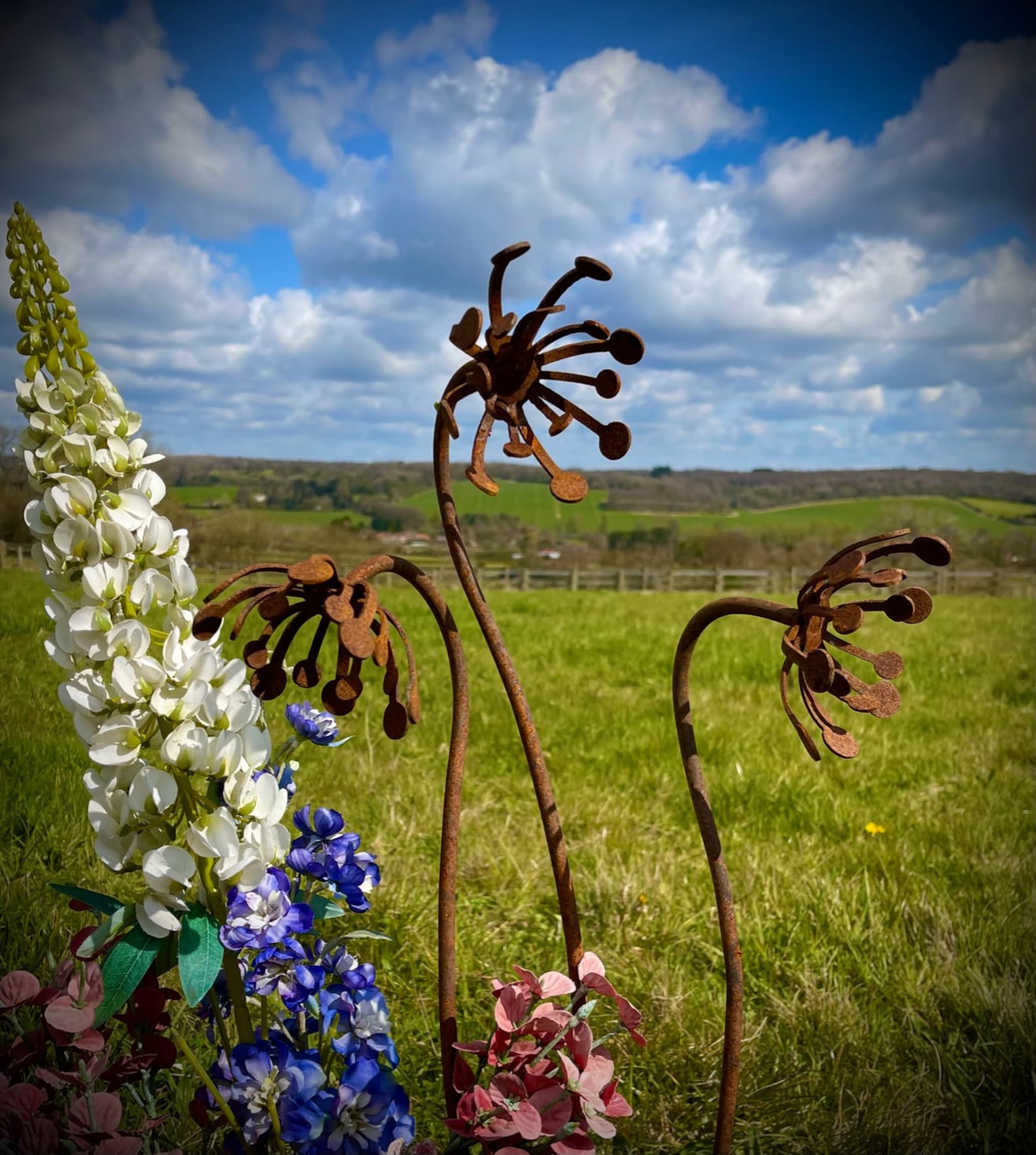 Exterior Rustic Rusty Metal Allium Parsley Cow Parsley Flower Flowers ...