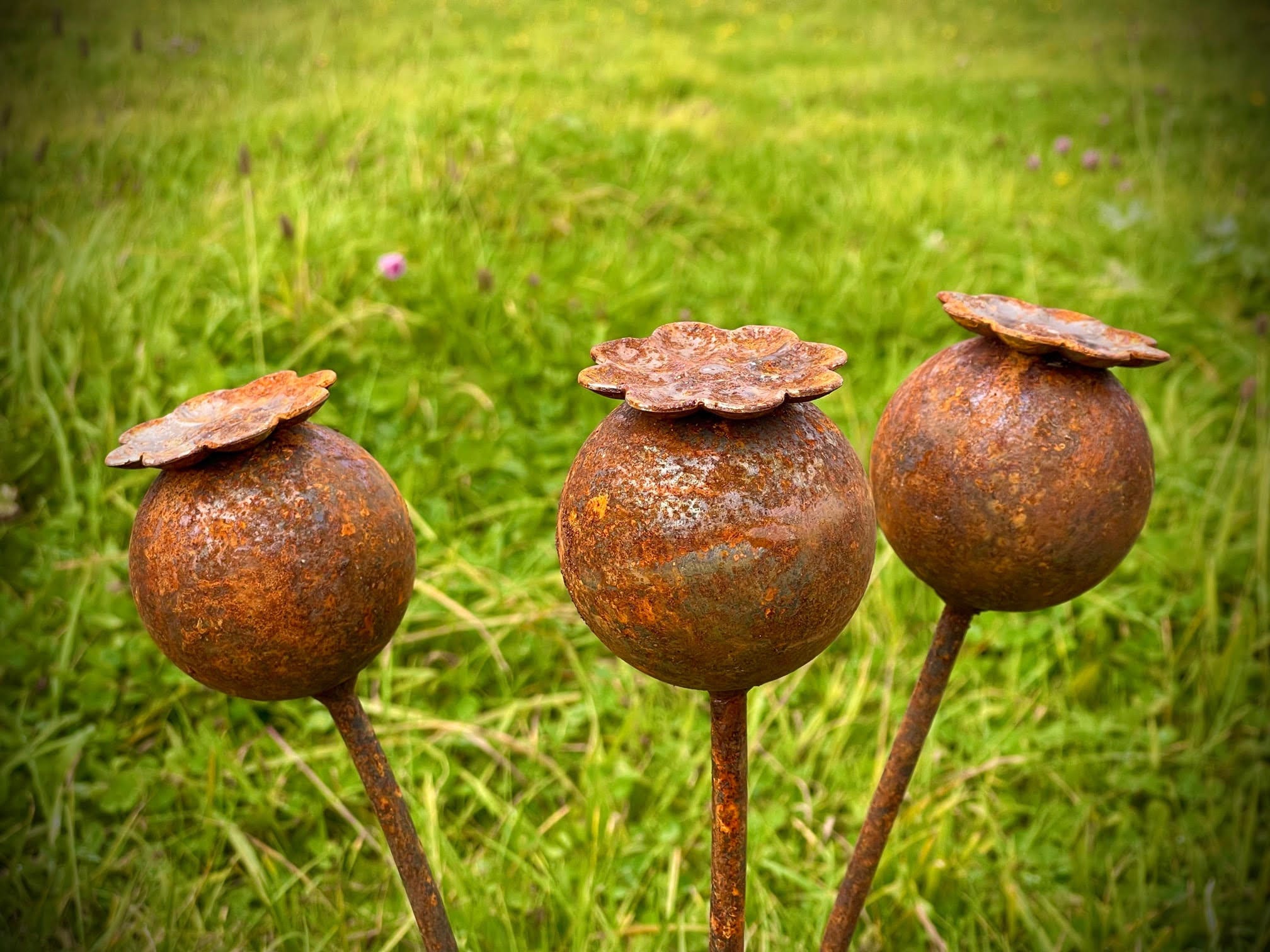 Exterior Rustic Rusty Metal Poppy Head Seed Poppies Flower Garden Art ...