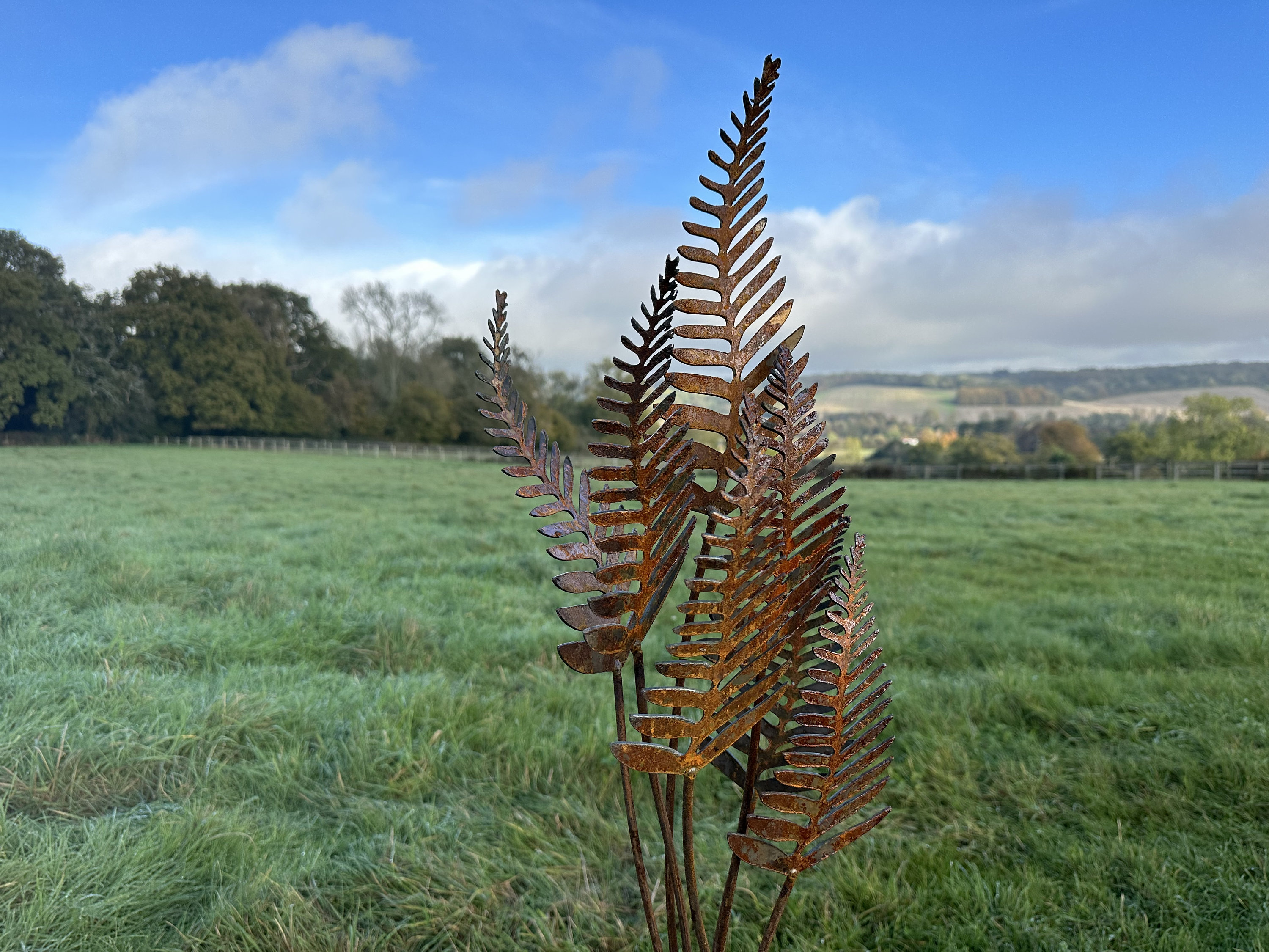 Rustic Rusty Metal Fern Leaf Sculpture Art Flower Garden Landscape ...