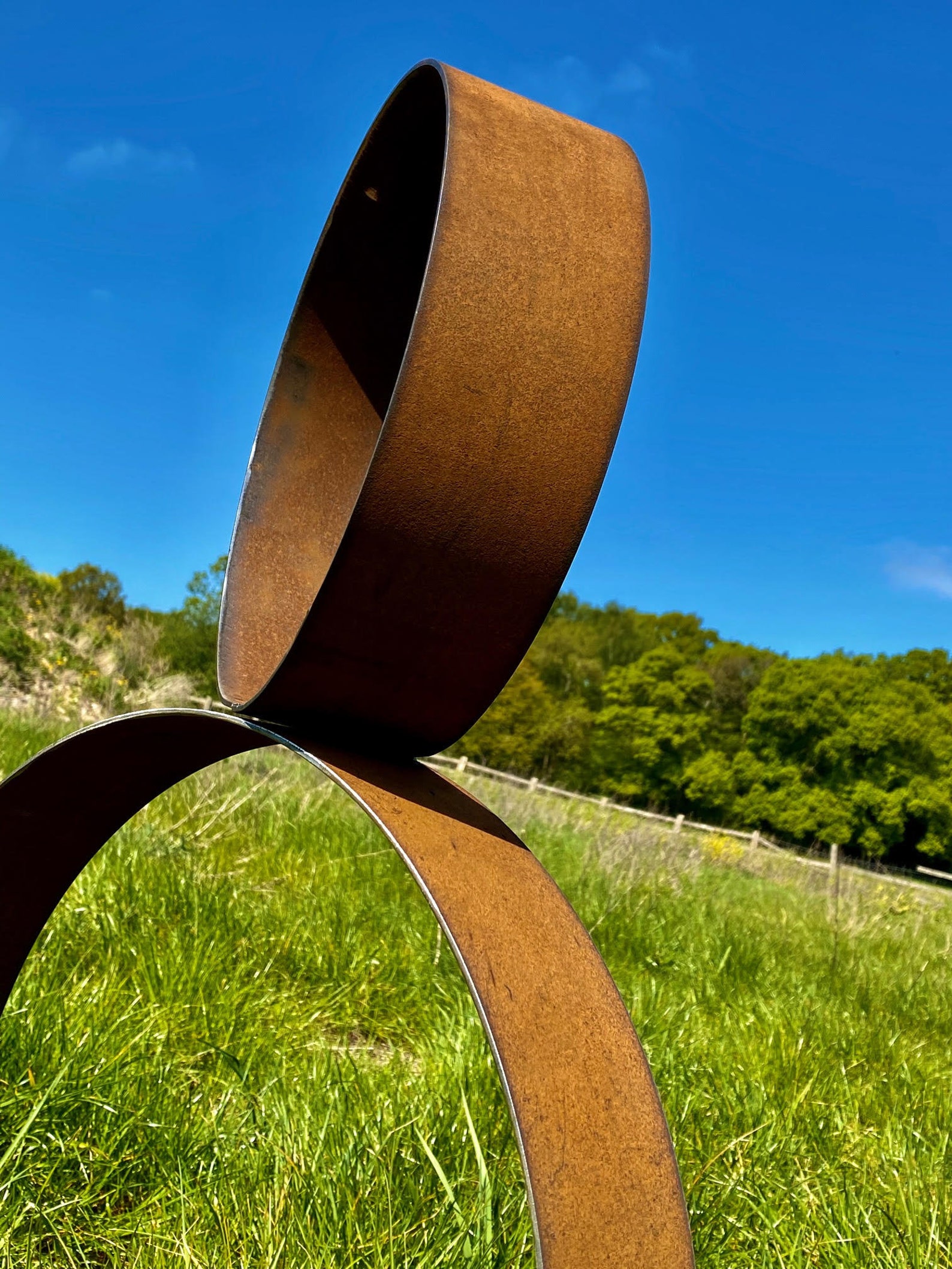 Exterior Rustic Circular Ring Hoop Metal Garden Stake Yard Art / Flower ...