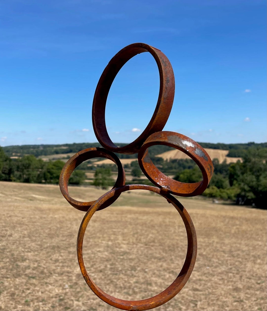 Exterior Rustic Garden Abstract Quad Rings Hoops Circles Modern Art ...