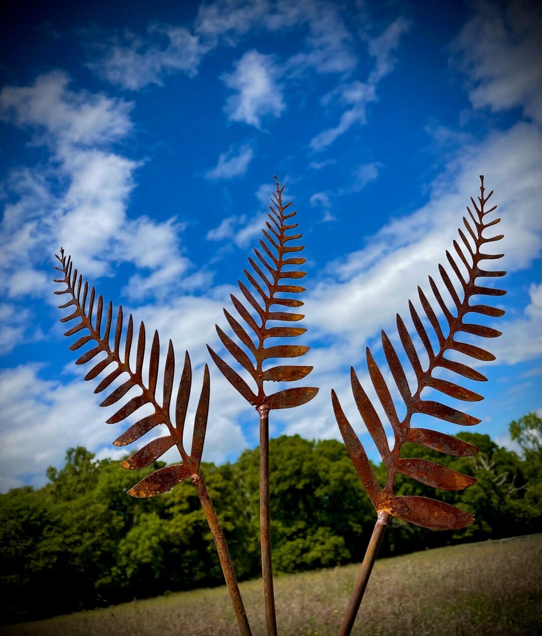 Rustic Rusty Metal Single Fern Leaf Art Flower Garden Landscape Garden ...
