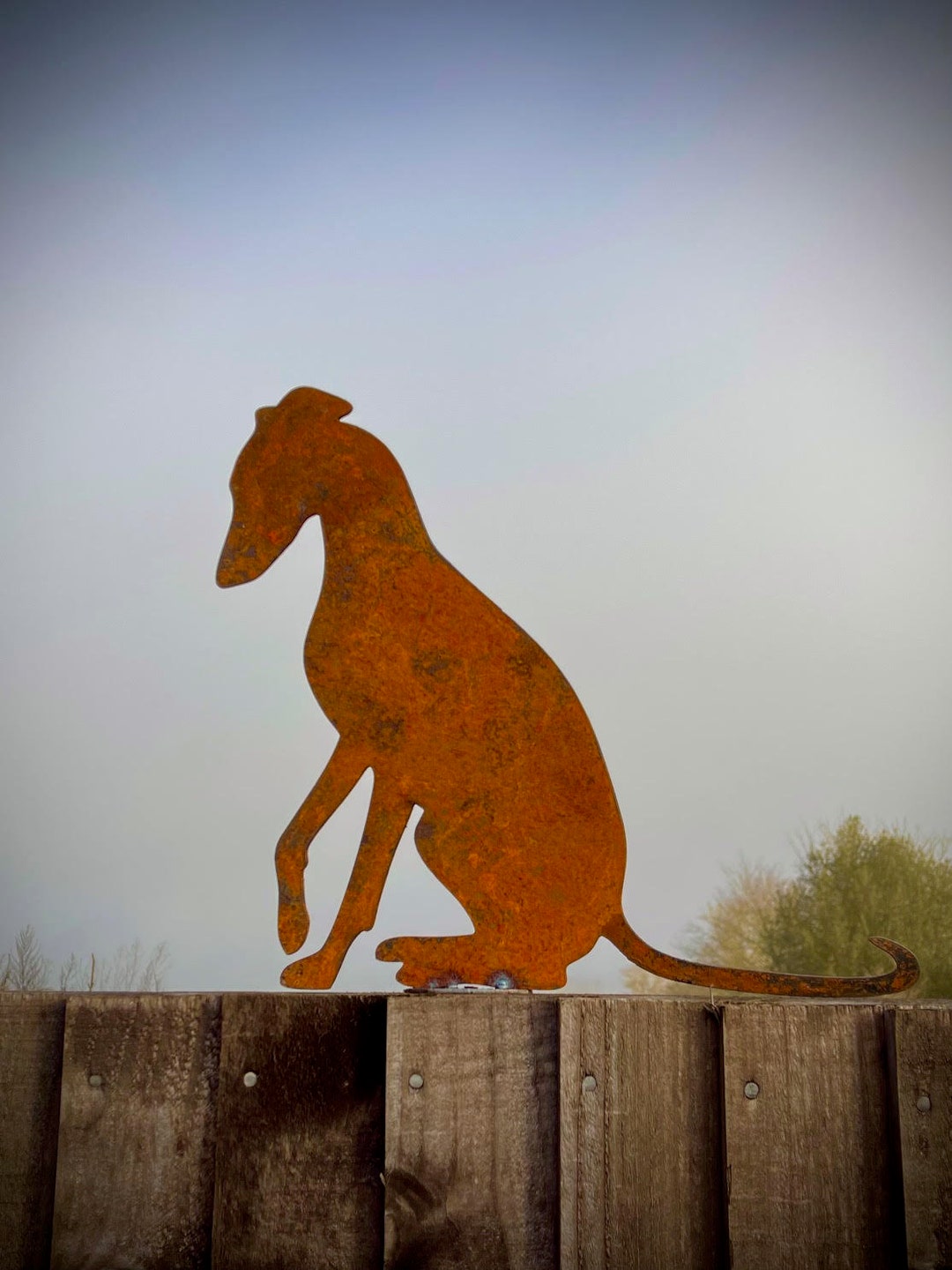 Exterior Rustic Rusty Metal Whippet Sitting Greyhound Dog Pet Animal ...
