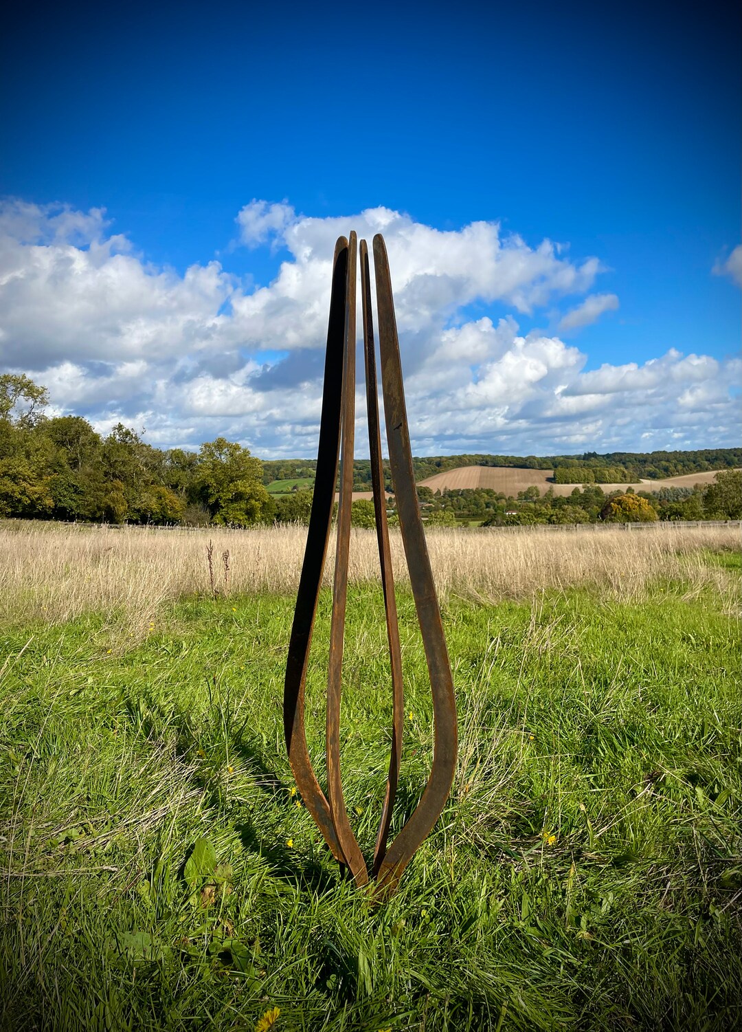 Rustic Rusty Metal Seed Sculpture Art Flower Garden Landscape Garden ...