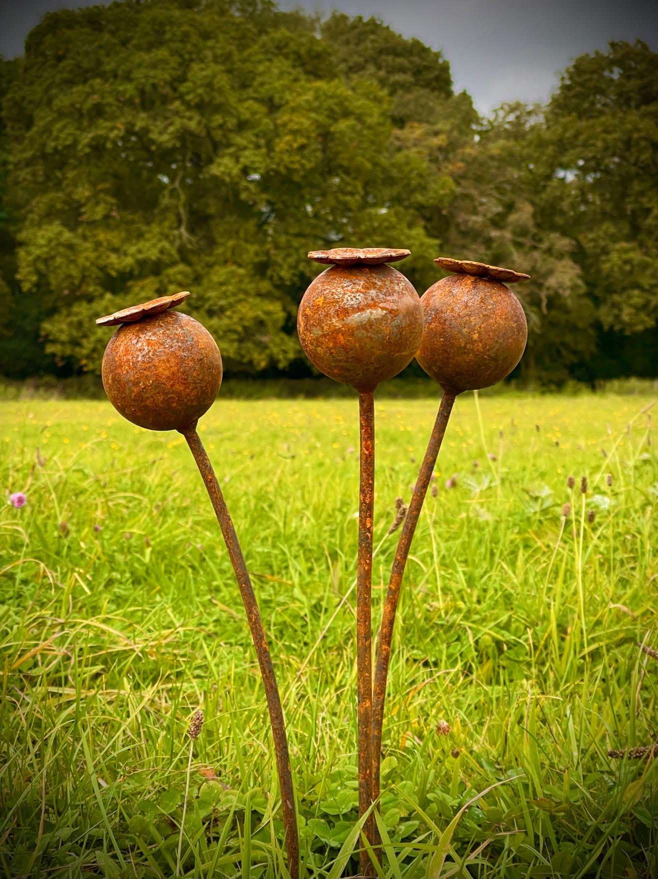 Exterior Rustic Rusty Metal Poppy Head Seed Poppies Flower - Etsy