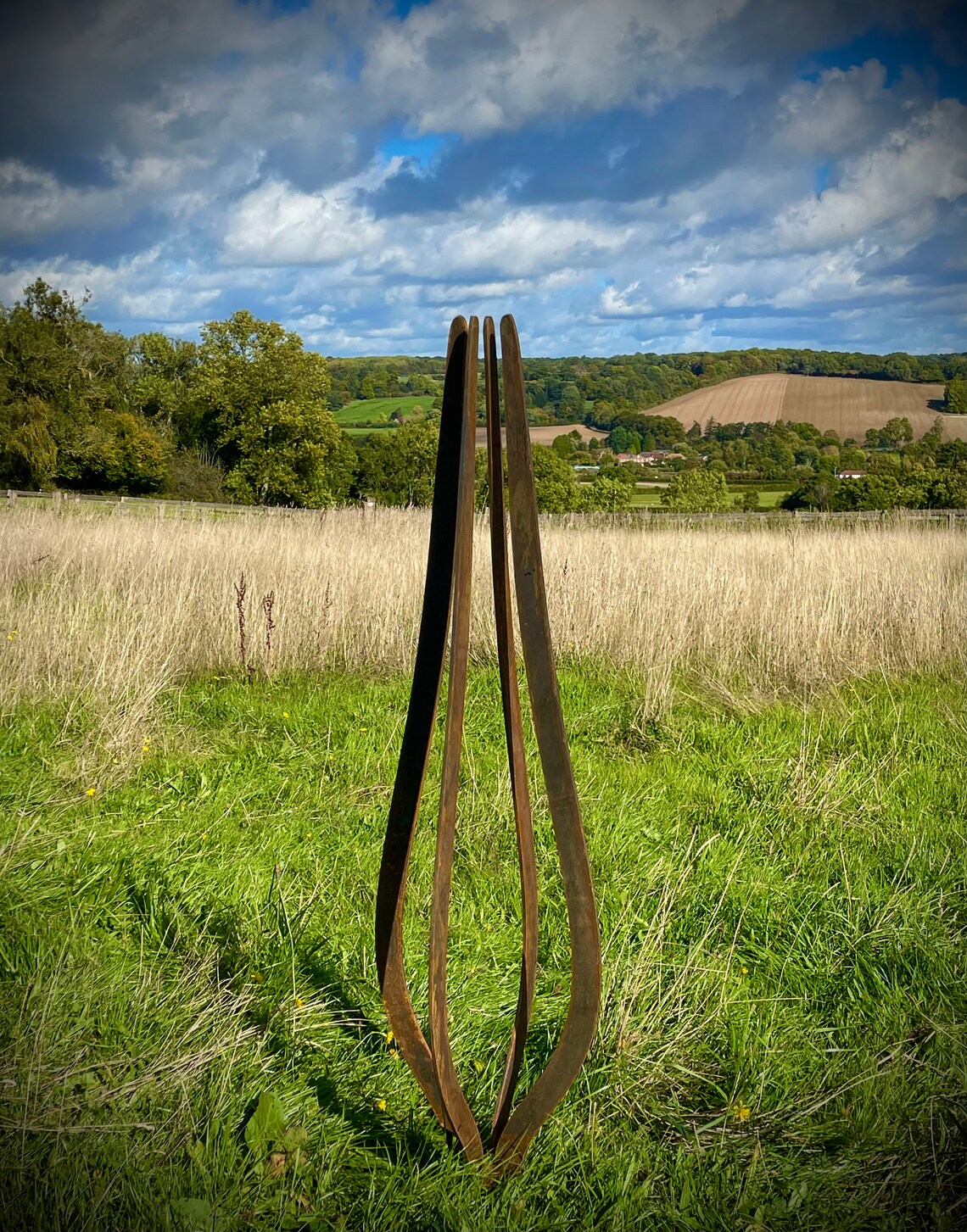 Rustic Rusty Metal Seed Sculpture Art Flower Garden Landscape Garden ...