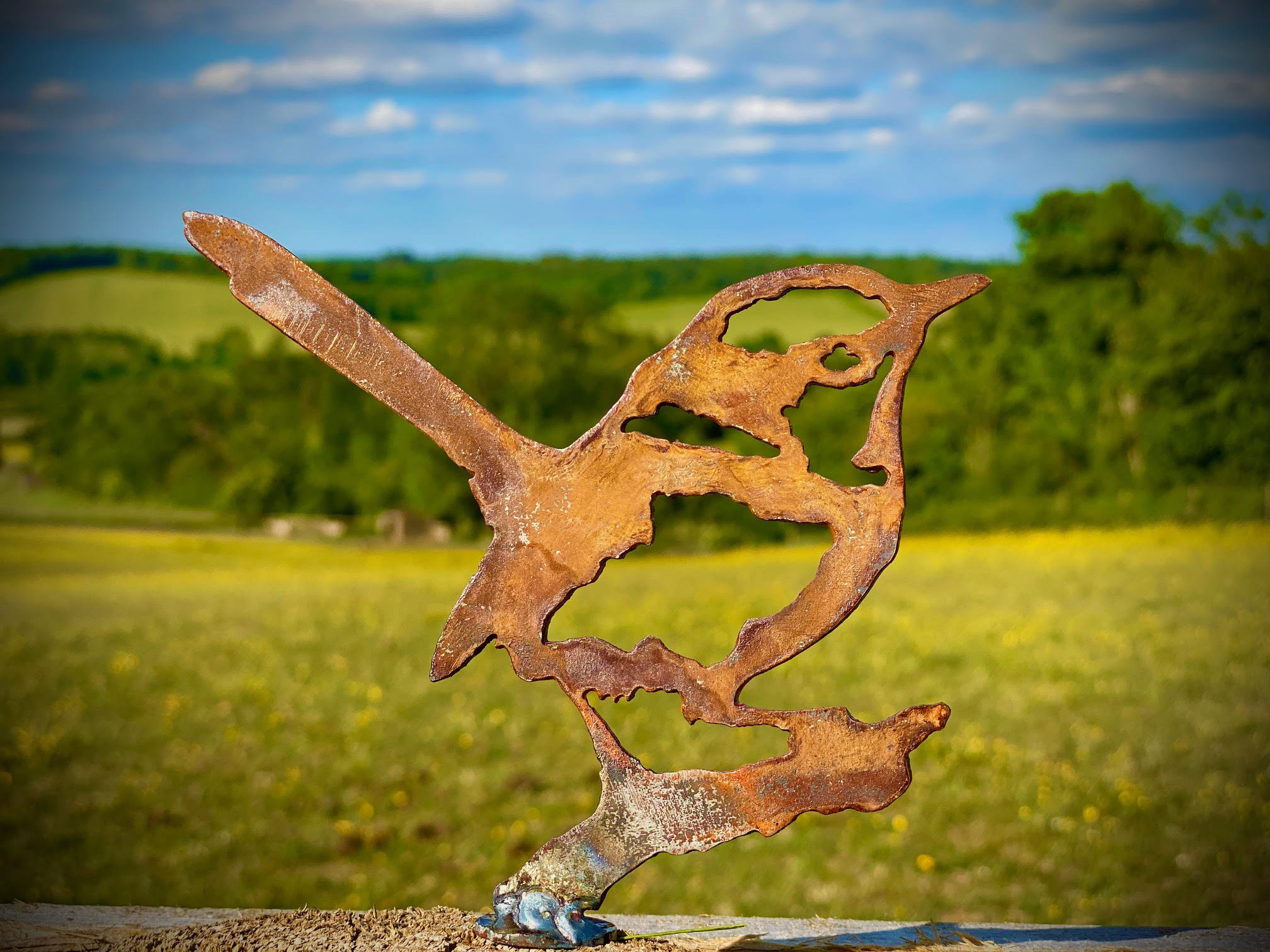 Large Exterior Rustic Rusty Metal Wren Bird Garden Fence - Etsy UK
