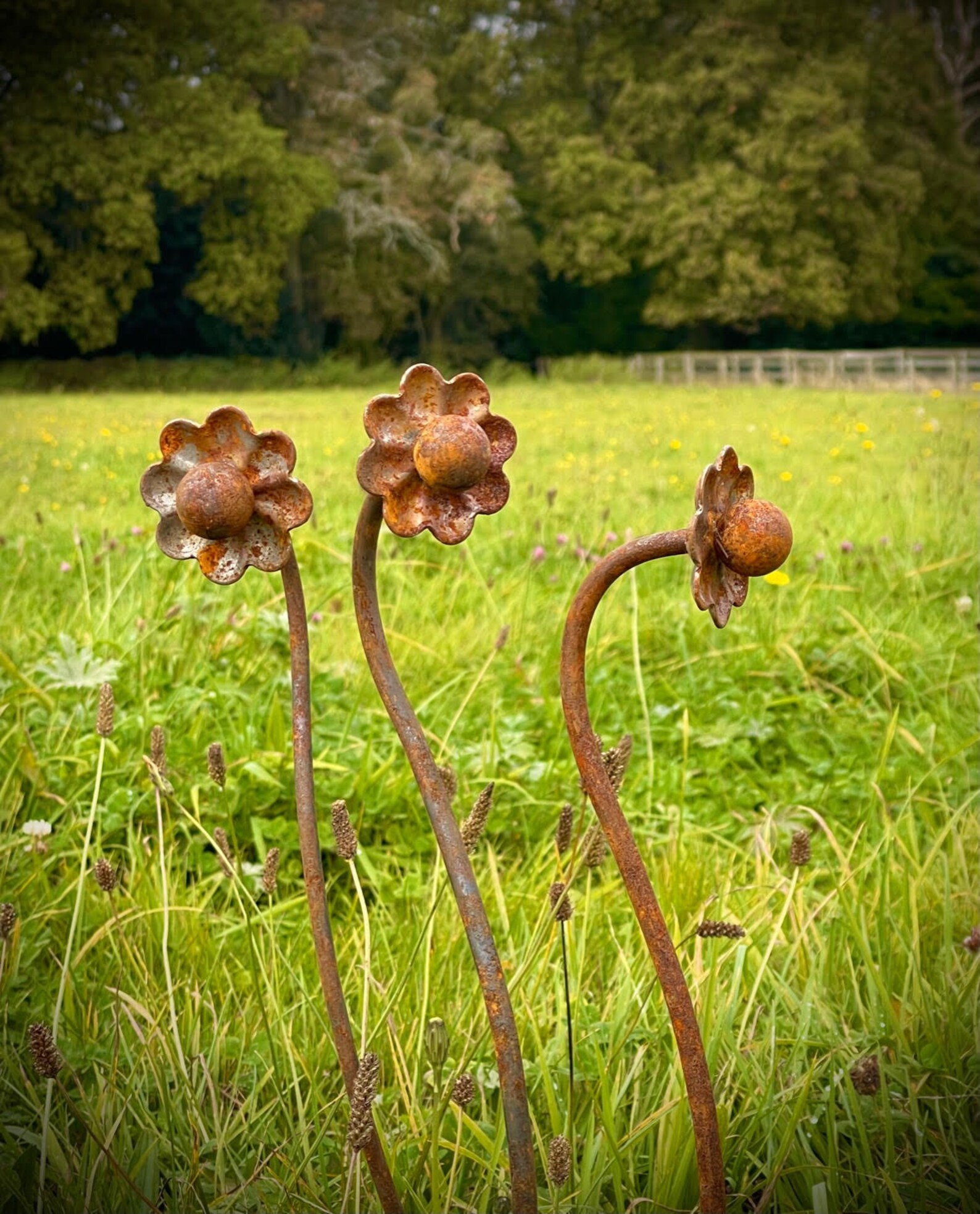 Exterior Rustic Rusty Metal Flowers Garden Art Garden Stake Yard Art ...