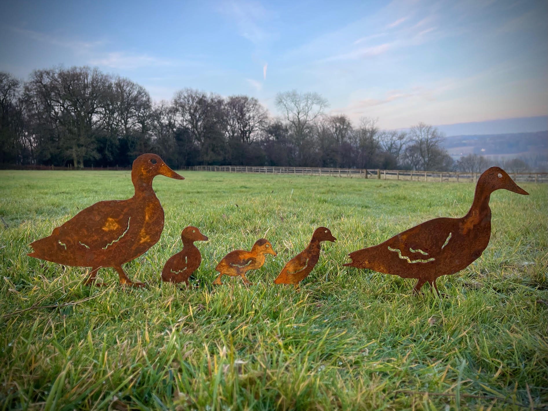 Exterior Rustic Rusty Metal Duck Family Quack Farm Animal - Etsy UK