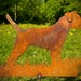 Small Exterior Rustic Rusty Metal Pug Dog Garden Stake Yard - Etsy UK