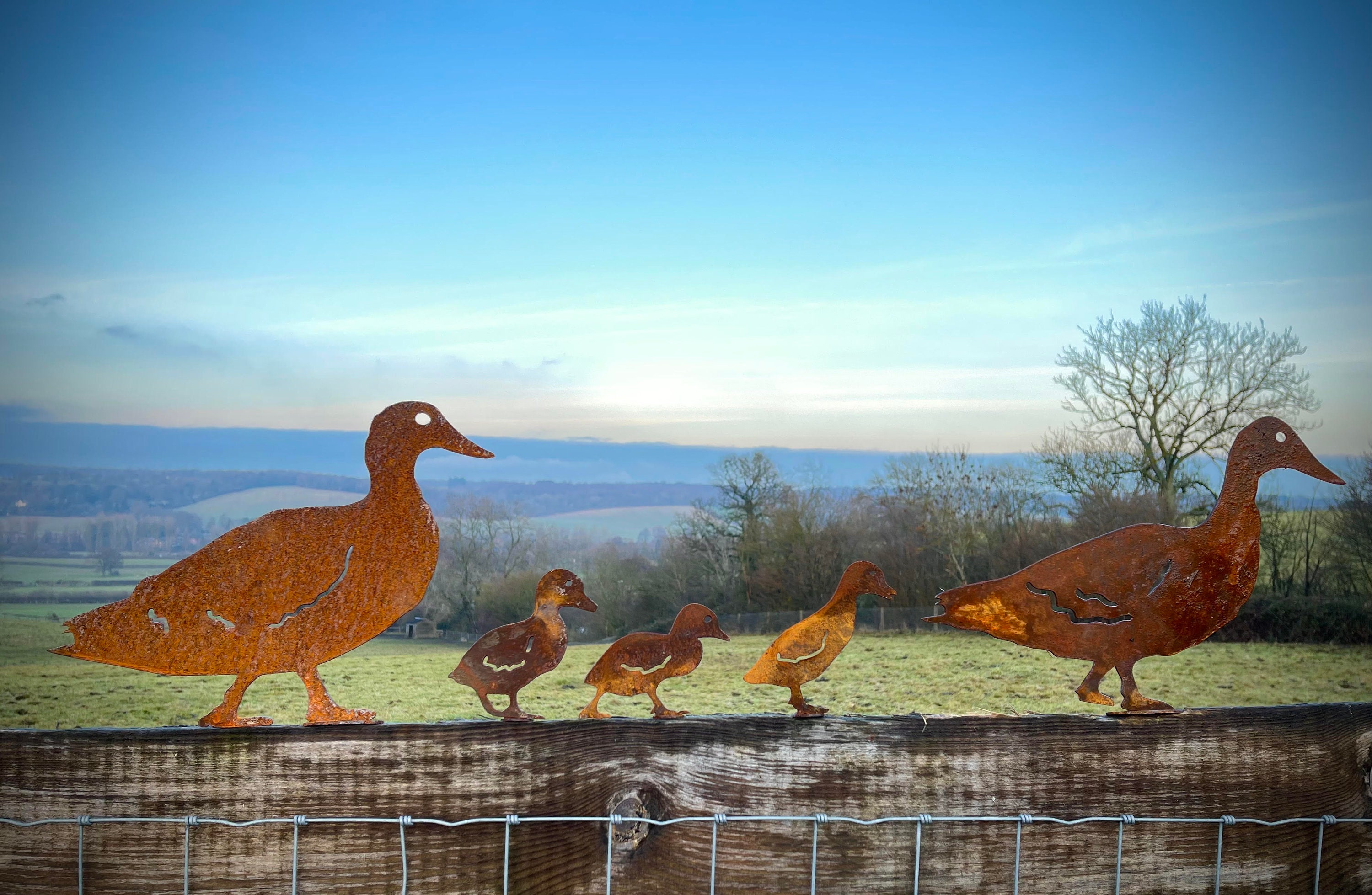 Exterior Rustic Rusty Metal Duck Family Quack Farm Animal | Etsy