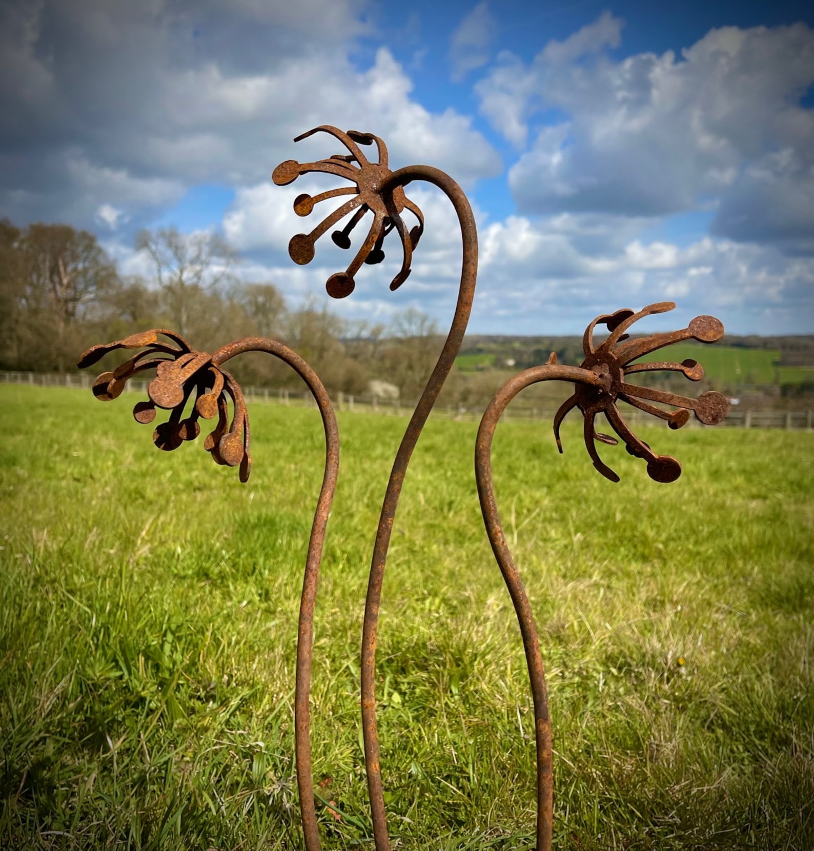 Exterior Rustic Rusty Metal Allium Parsley Cow Parsley Flower Flowers ...