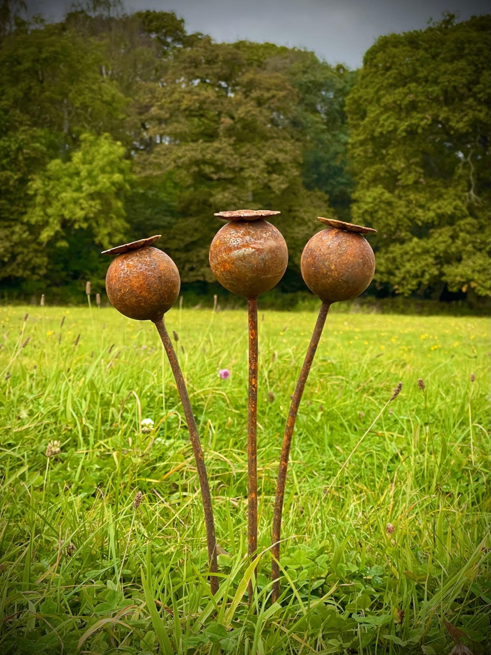 Exterior Rustic Rusty Metal Poppy Head Seed Poppies Flower - Etsy