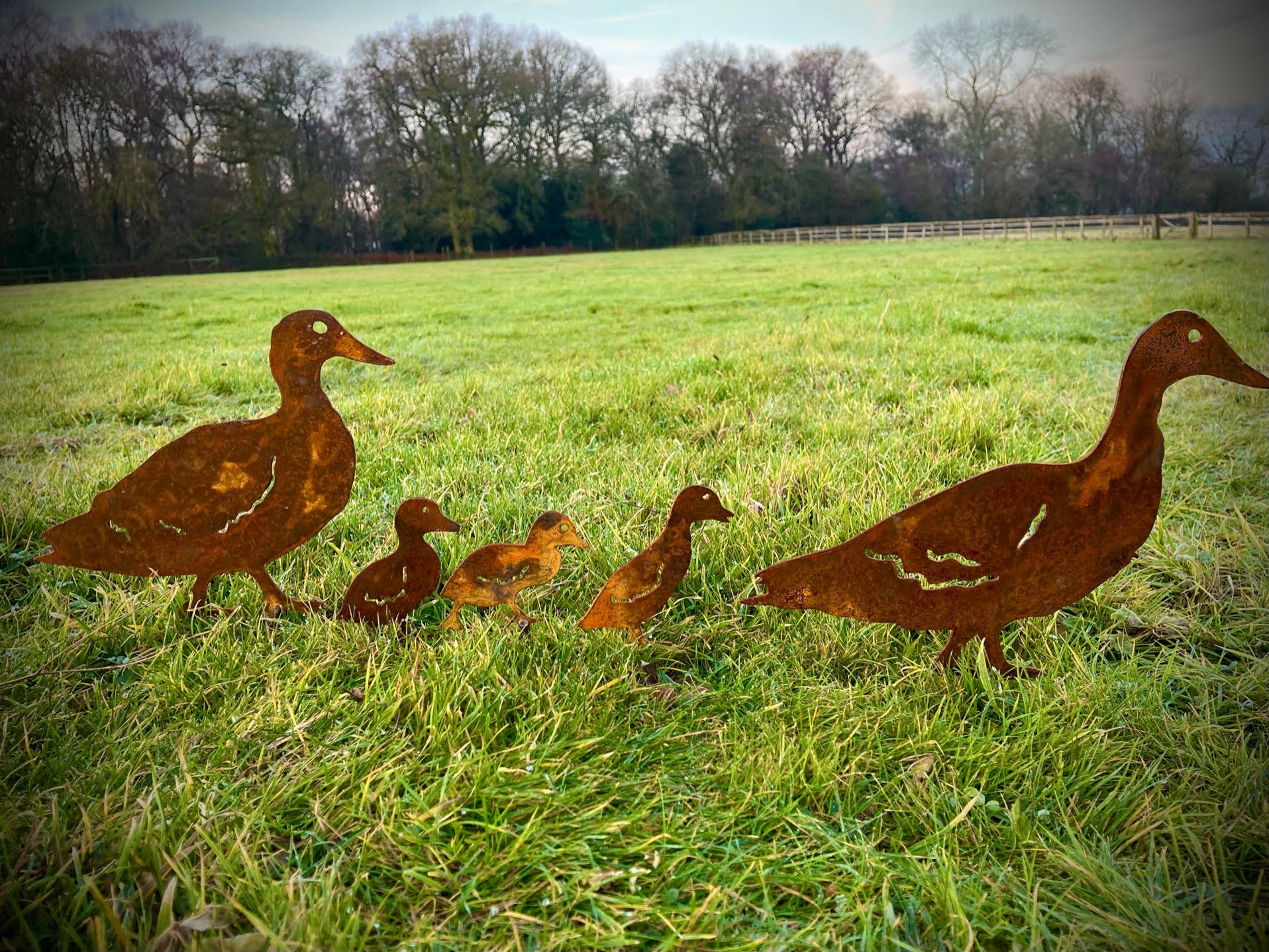 Exterior Rustic Rusty Metal Duck Family Quack Farm Animal Garden Stake ...