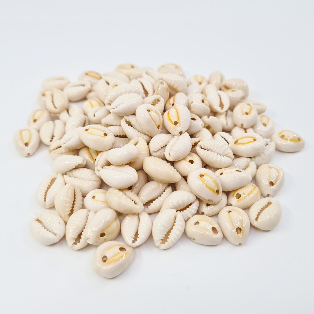 Cauri Shell Pierced for Manufacture Creation of Bracelets - Etsy