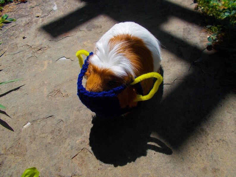 Guinea Pig Face Mask | Etsy