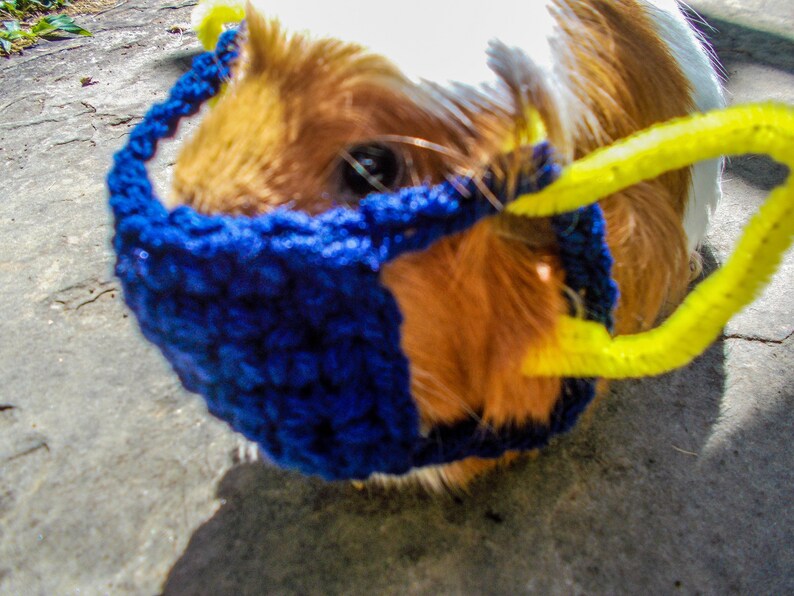Guinea Pig Face Mask | Etsy