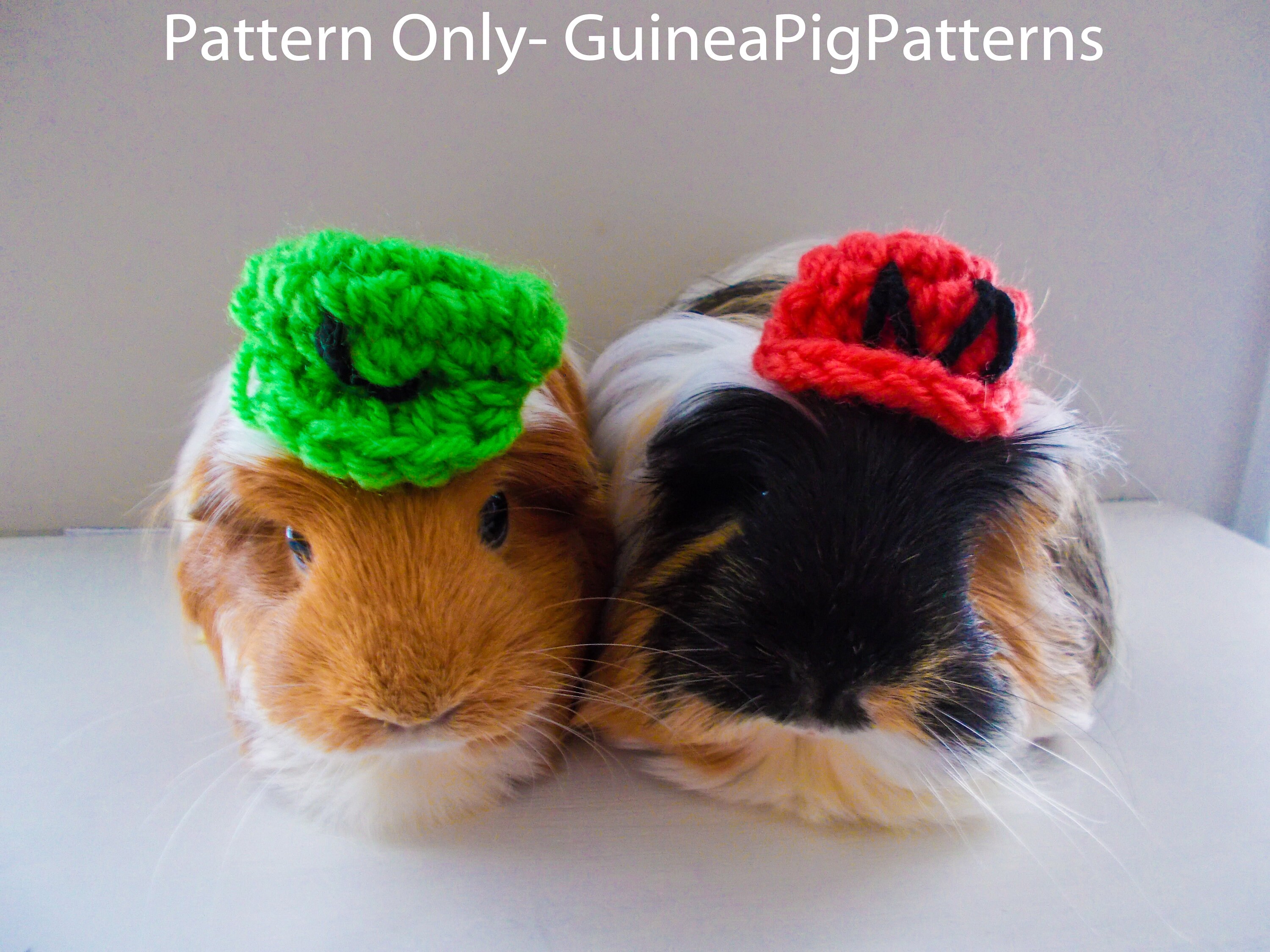 Guinea Pig Mario and Luigi Inspired Hat Crochet Pattern | Etsy