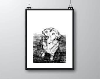 Labrador Golden Retriever Pencil Sketch Drawing Artwork Digital ...