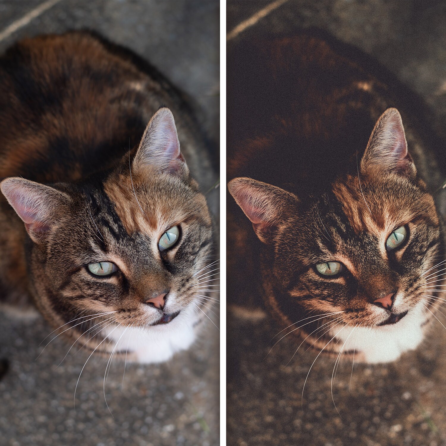 7 Vintage Film Camera Presets for Lightroom Kodak Inspired DESKTOP ...