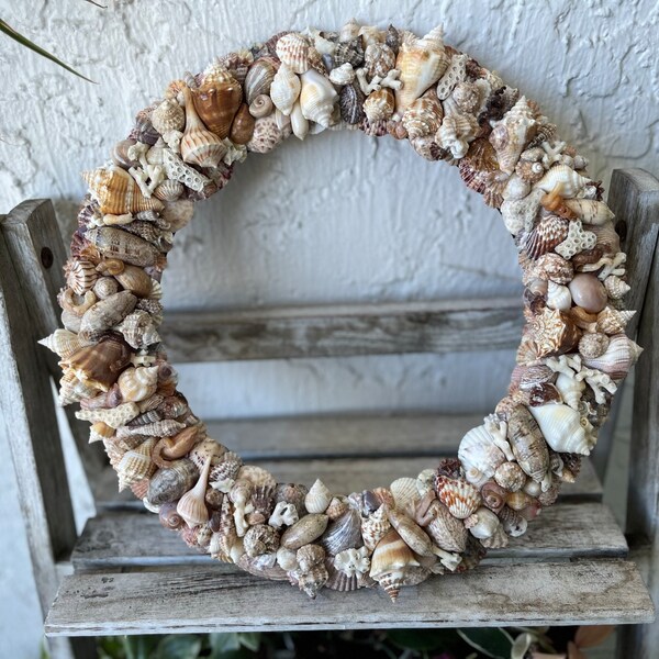 Sea Shell Wreath - Etsy