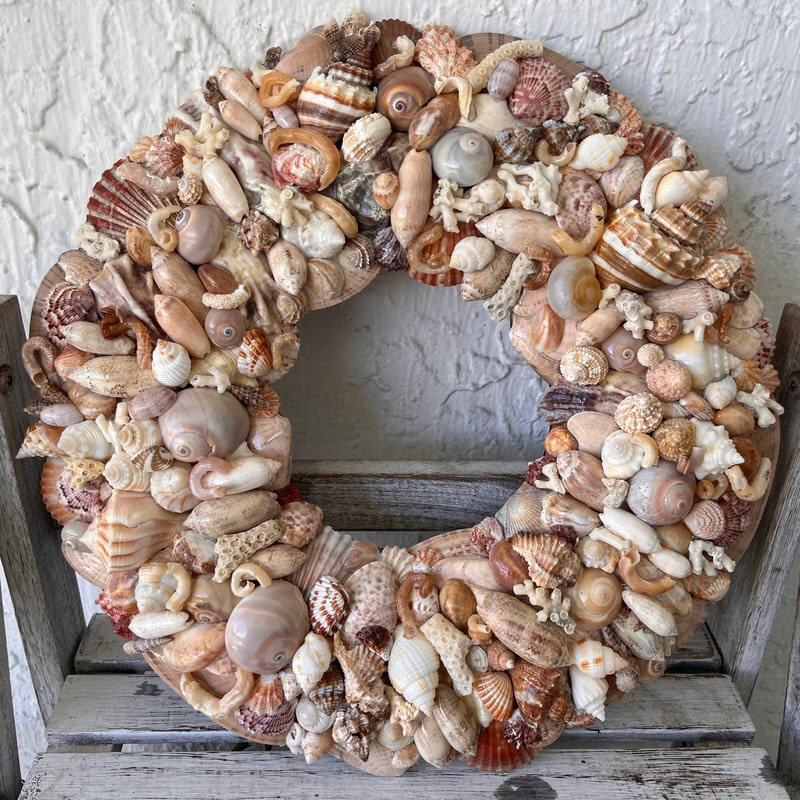 Seashell Wreath - Etsy