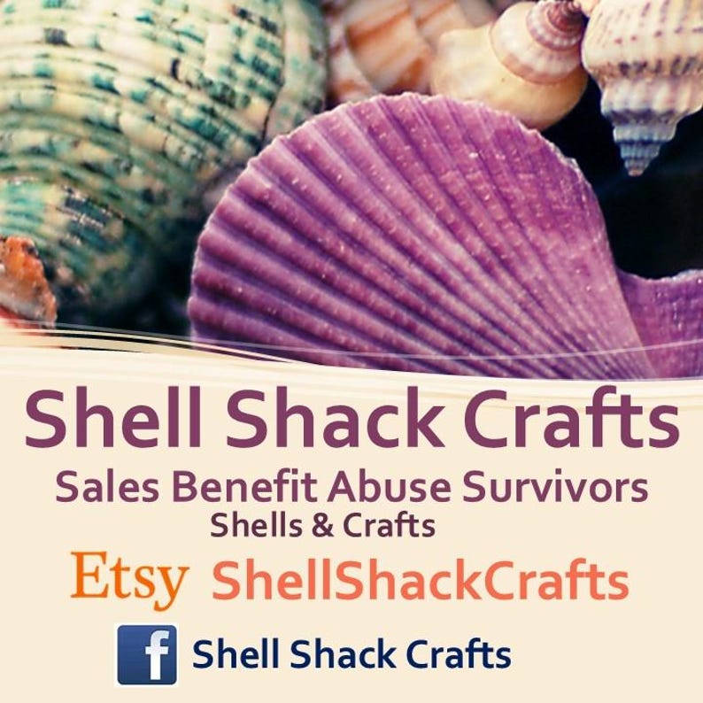 Seashell Resin Art Frame: Florida Gulf Coast Shells, Sand & Crushed ...