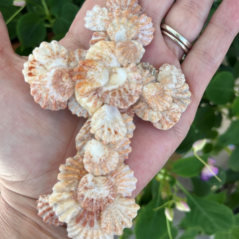 ShellShackCrafts - Etsy