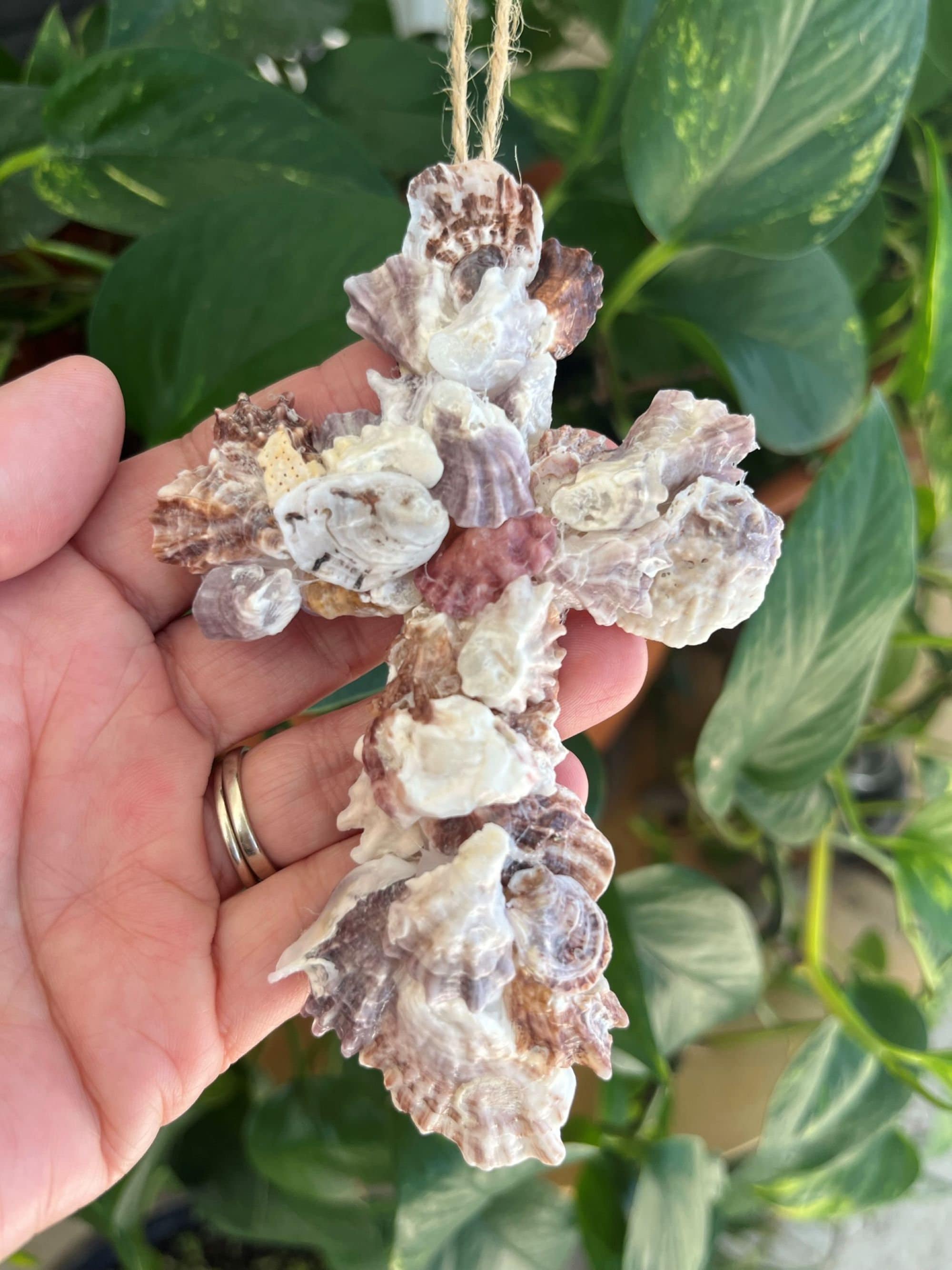 Shell Cross Ornaments Several Species With Florida Shells - Etsy