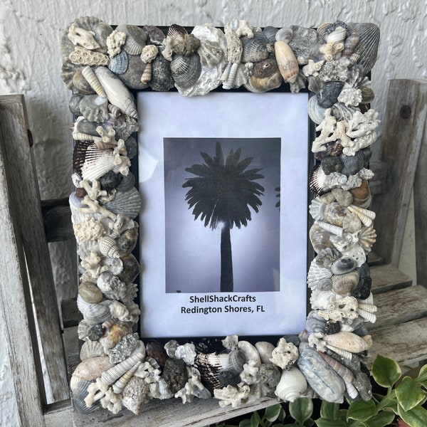 Shell Picture Frame - Etsy