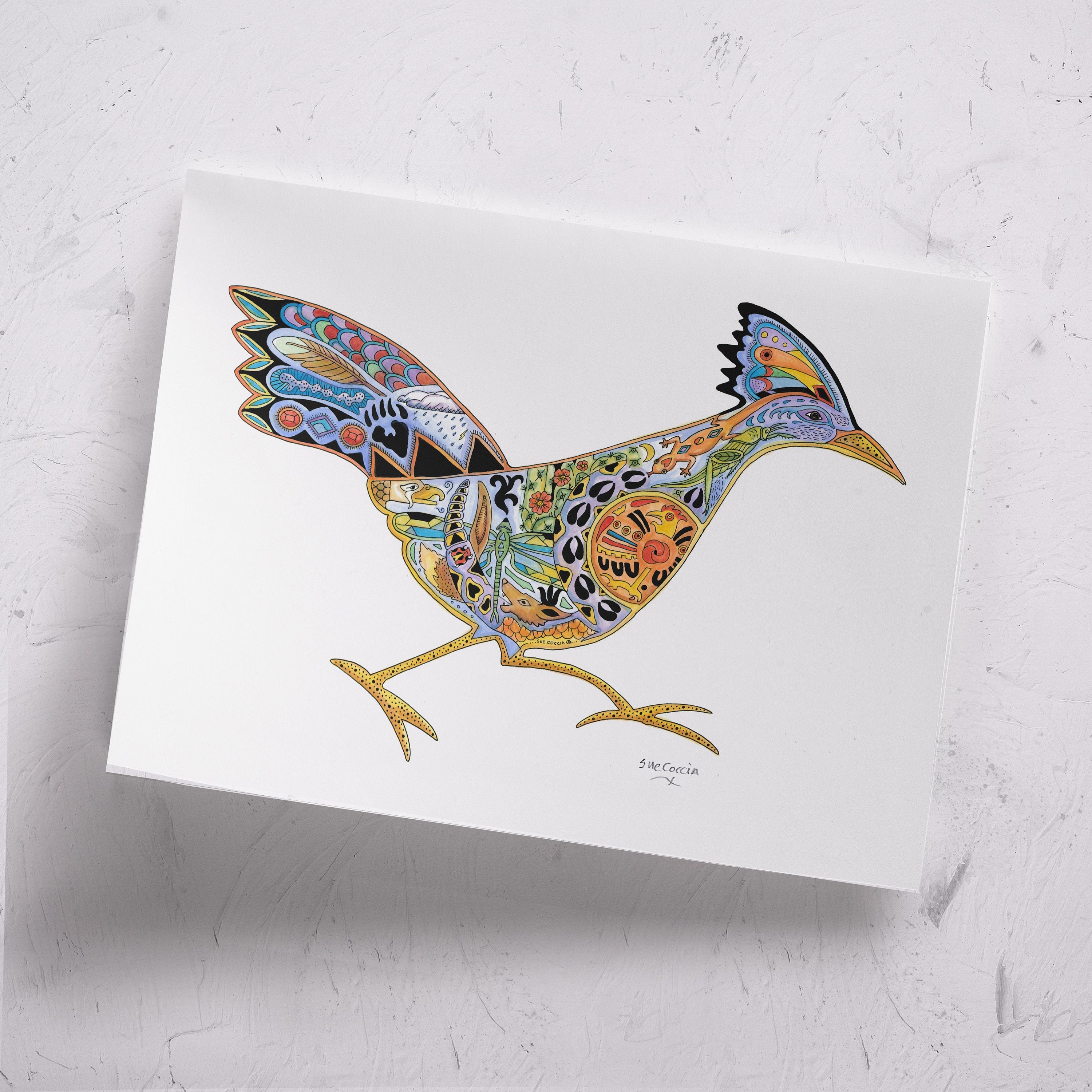 Roadrunner Signed Print - Etsy