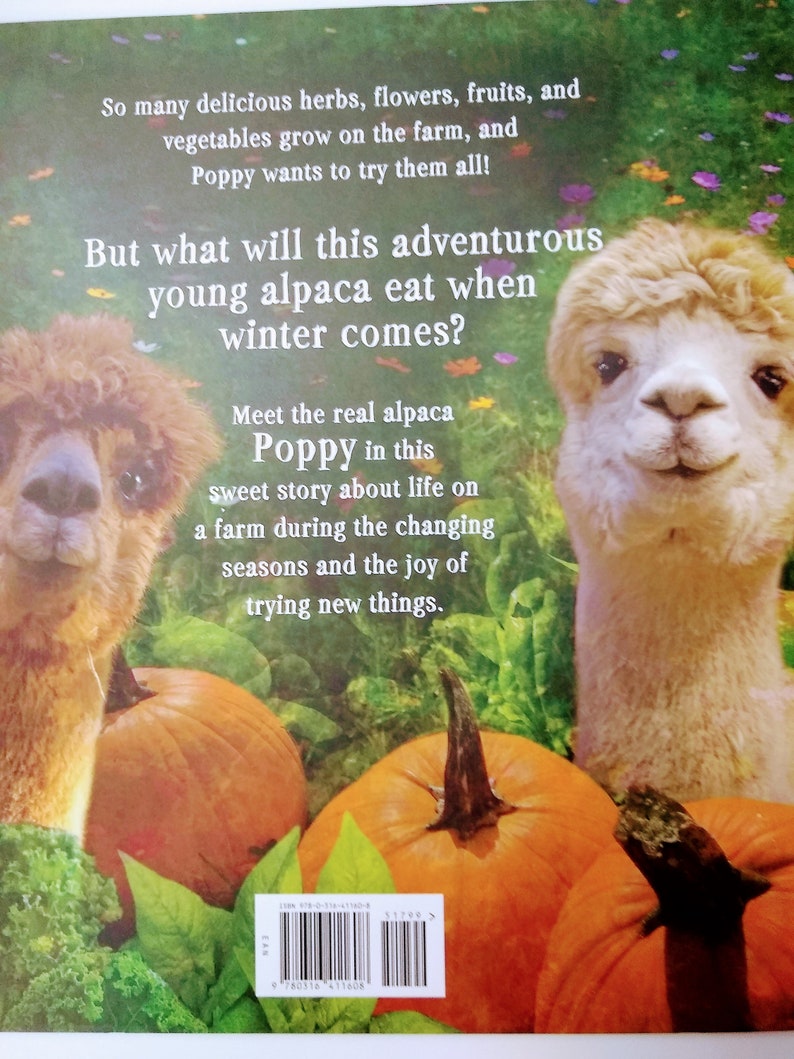 Alpaca Lunch John and Jennifer Churchman Sweet Pea & Friends - Etsy