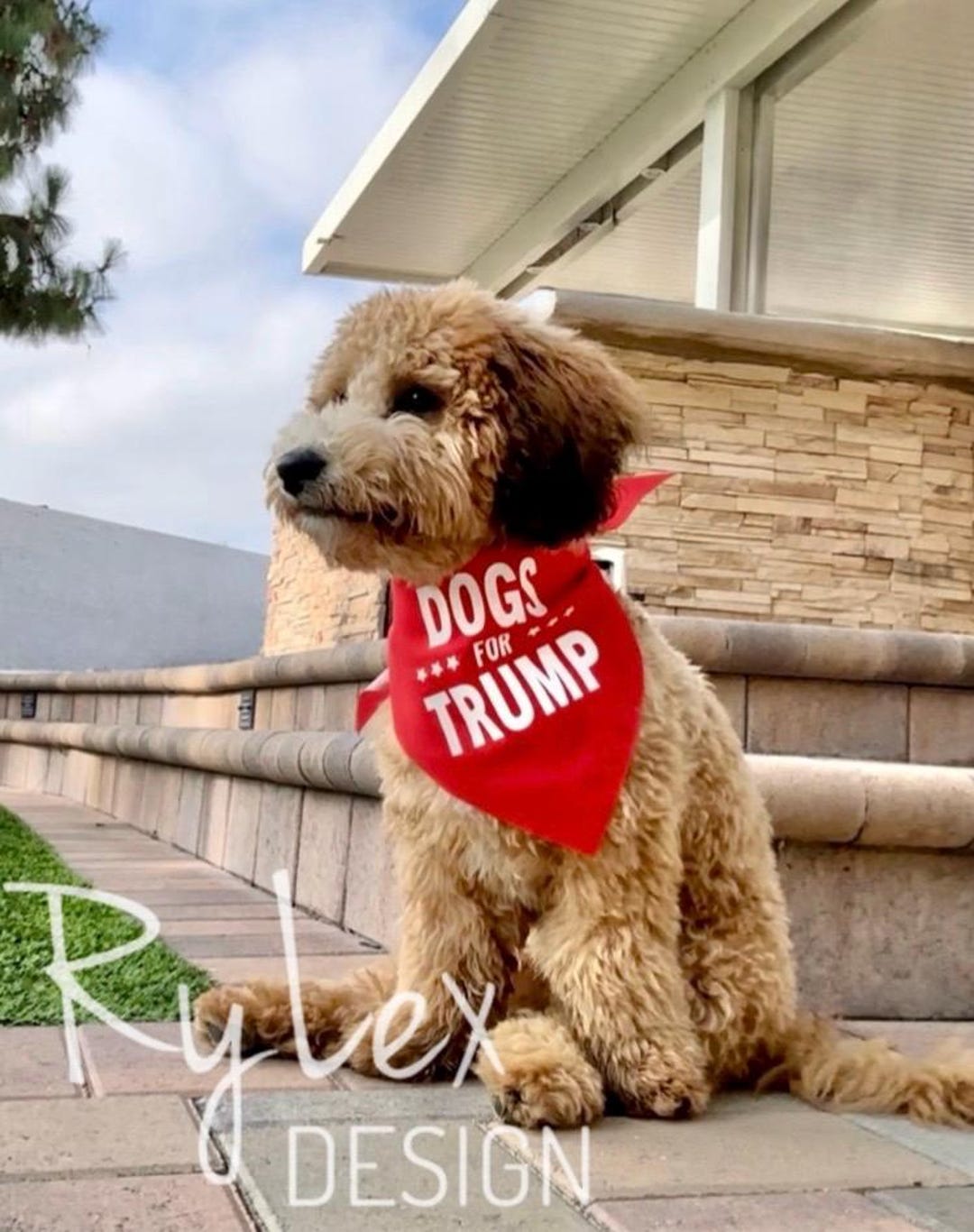 Dogs for Trump Bandana, Pets for President Trump Bandanna Neck Tie - Etsy