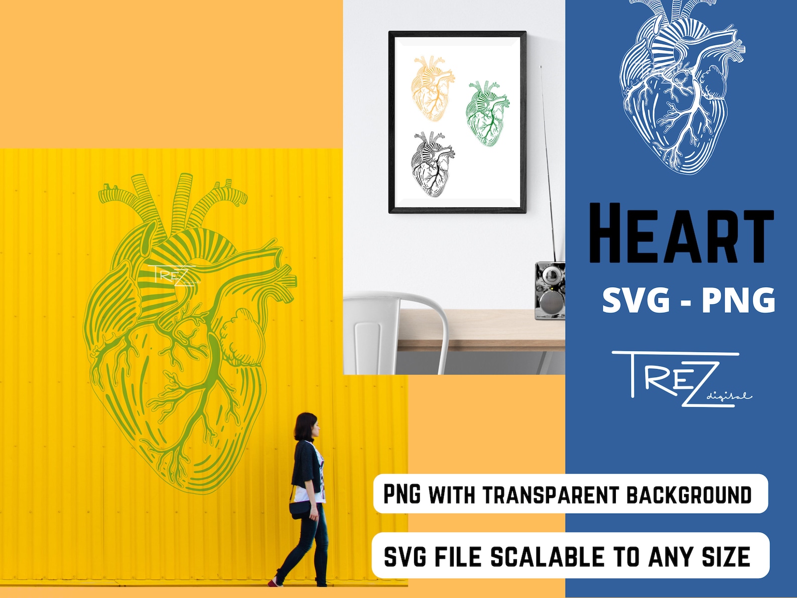 Realistic Human Heart Clipart, Cardiology SVG, Instant Digital Download ...