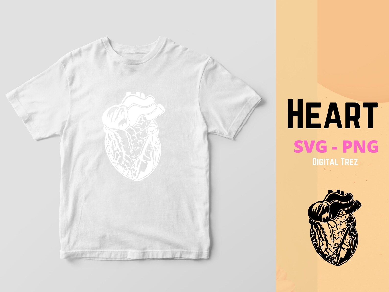 Heart Vector Clipart, Digital Illustration, Medical Svg, Heart Clipart ...