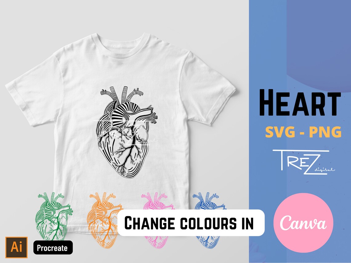Realistic Human Heart Clipart, Cardiology SVG, Instant Digital Download ...