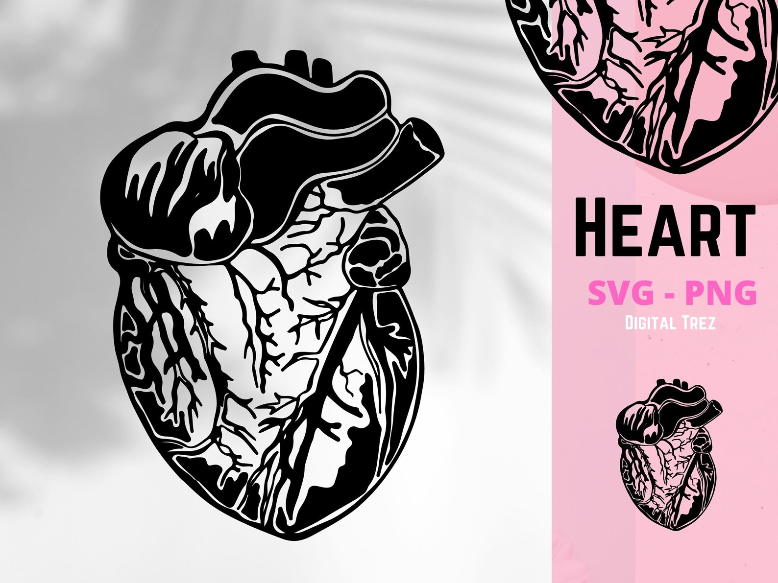 Heart Vector Clipart, Digital Illustration, Medical Svg, Heart Clipart ...