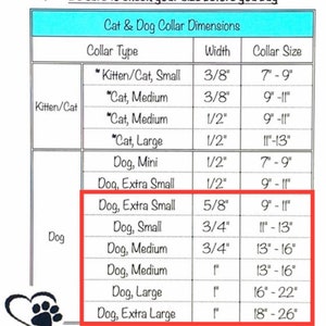 AGILITY Collar the Pinks - Etsy