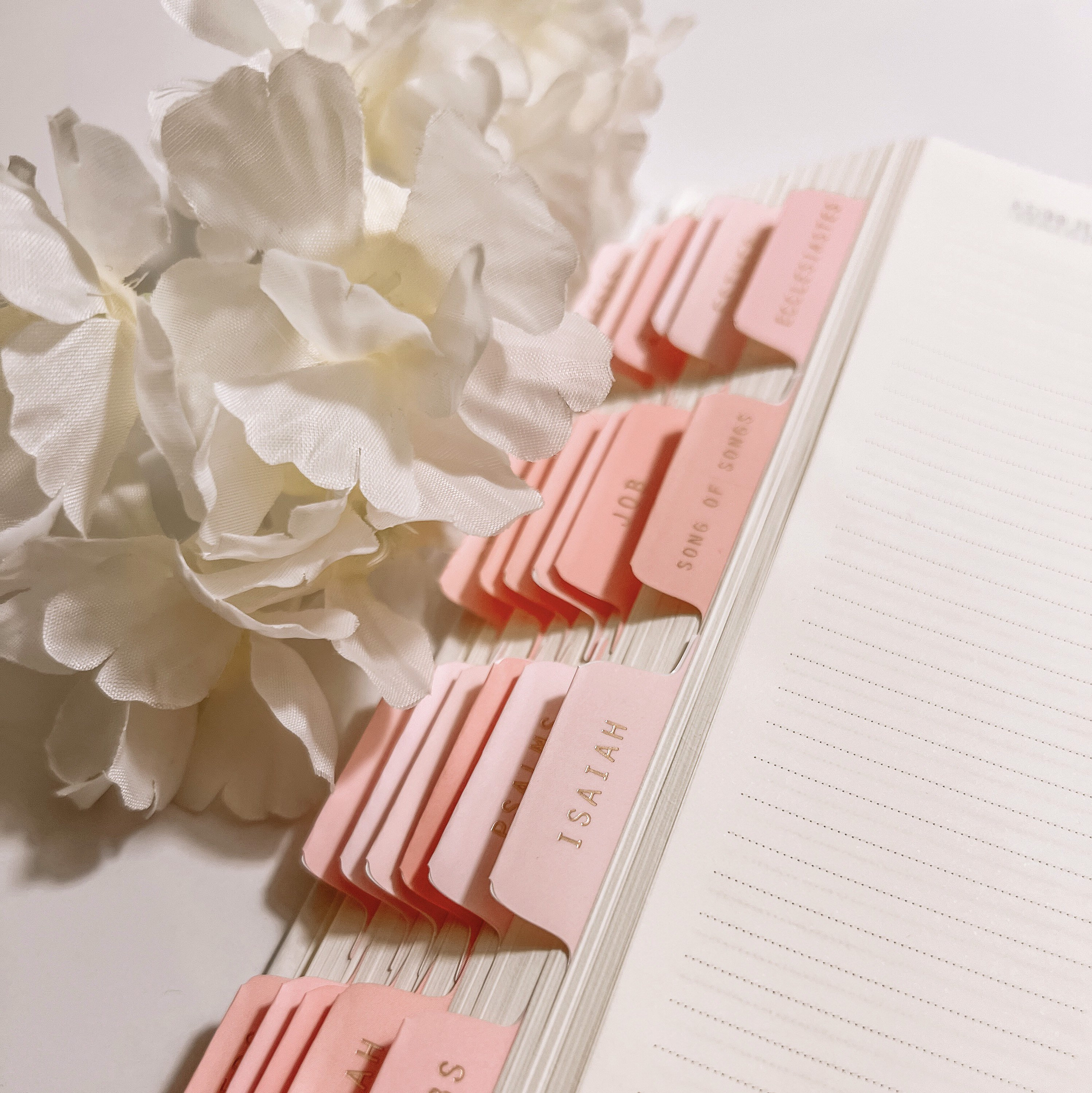 Rose Gold Foiled Dusty Blush Pink Bible Tabs 66 Book 9 - Etsy