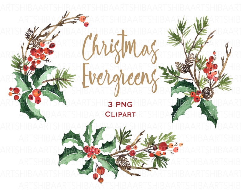 Christmas Evergreens Watercolor Clipart, Floral Decorative Arrangement ...