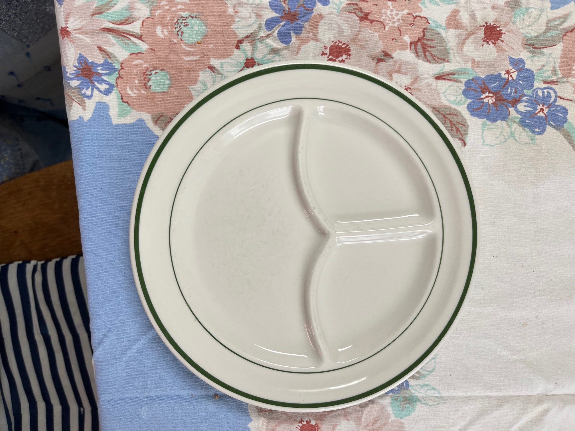 Porcelain Divided Dinner Plates