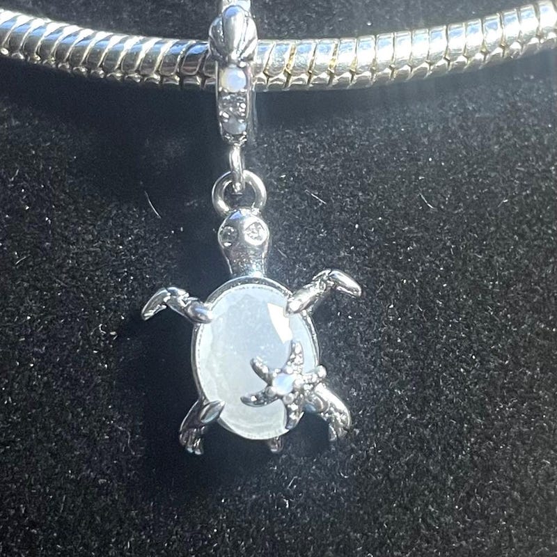 Turtle Charms - Etsy